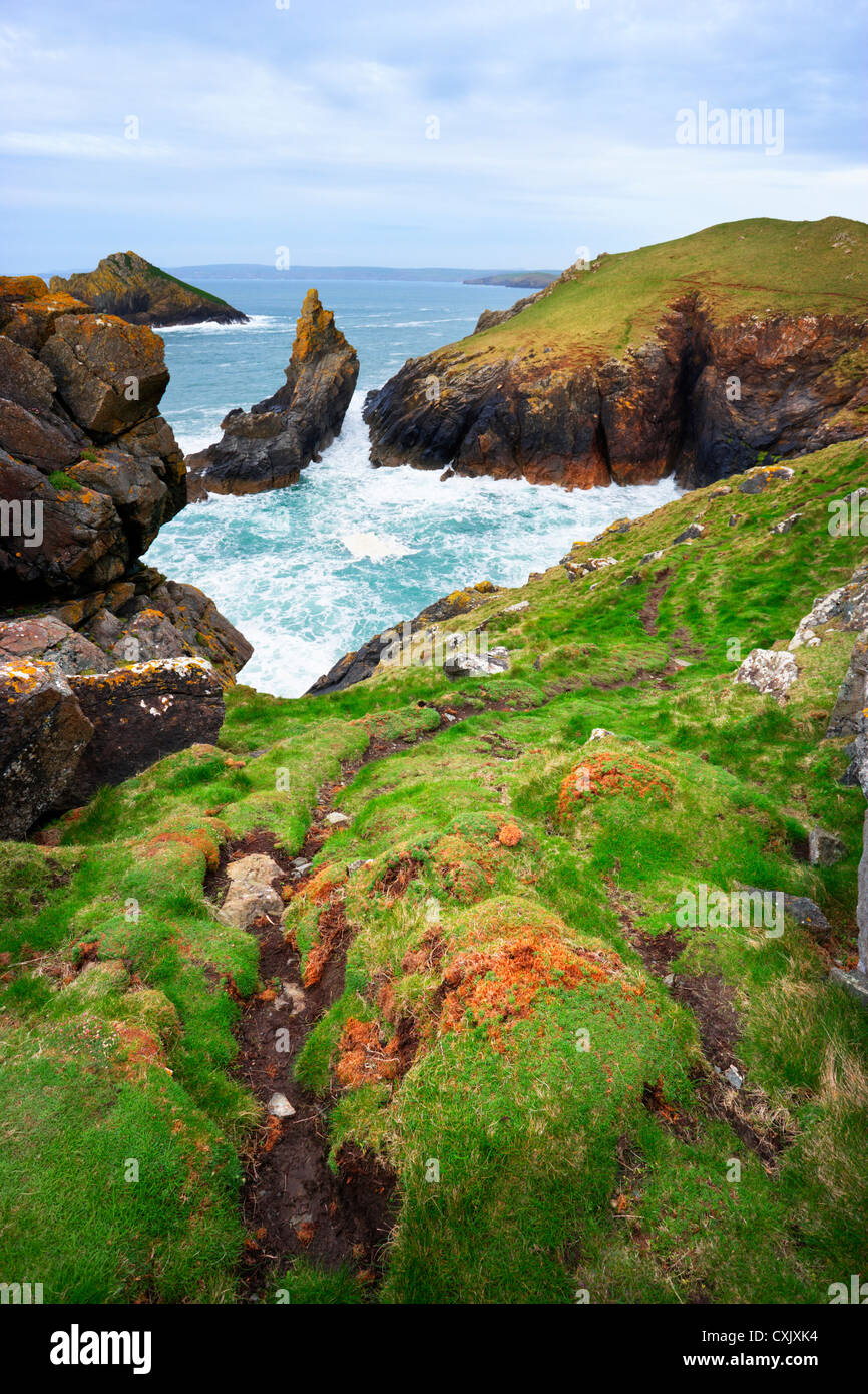 Foot Path along Grassy Slopes of Sea Cliffs, Rumps Point, Cornwall ...