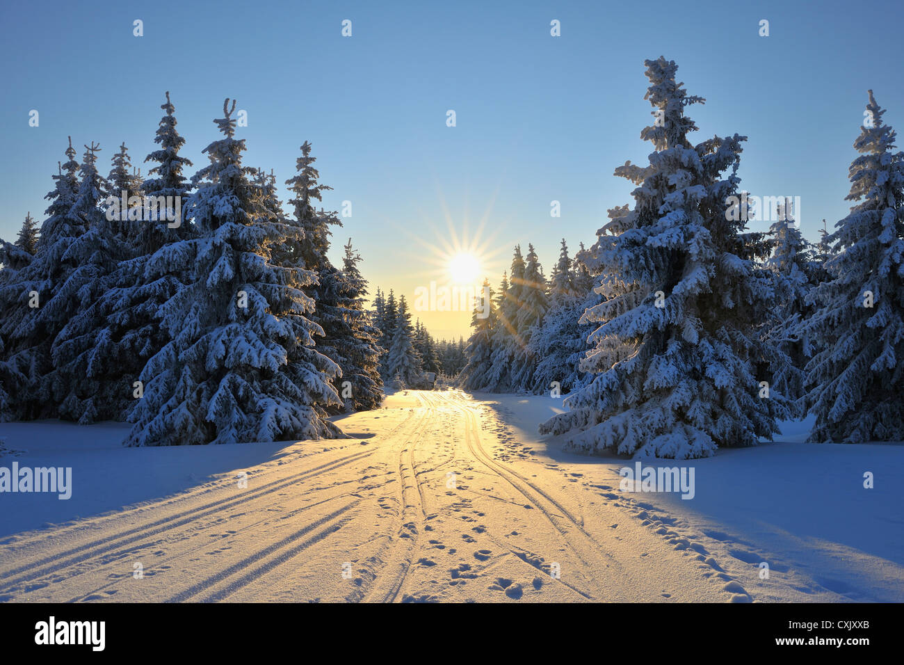 Xc image hi-res stock photography and images - Alamy