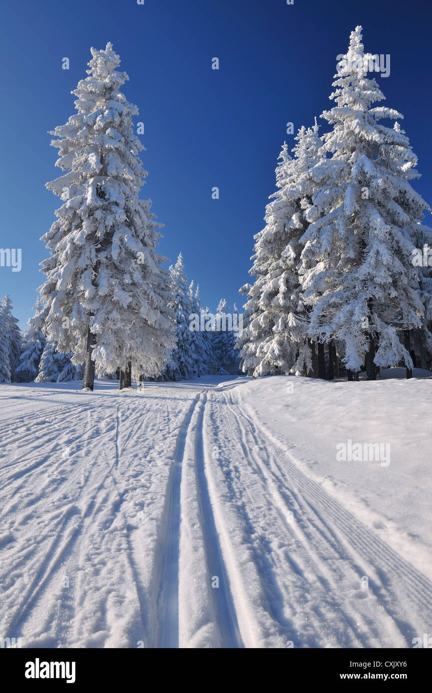 Snow Covered Landscape with Ski Trails, Rennsteig, Grosser Beerberg ...