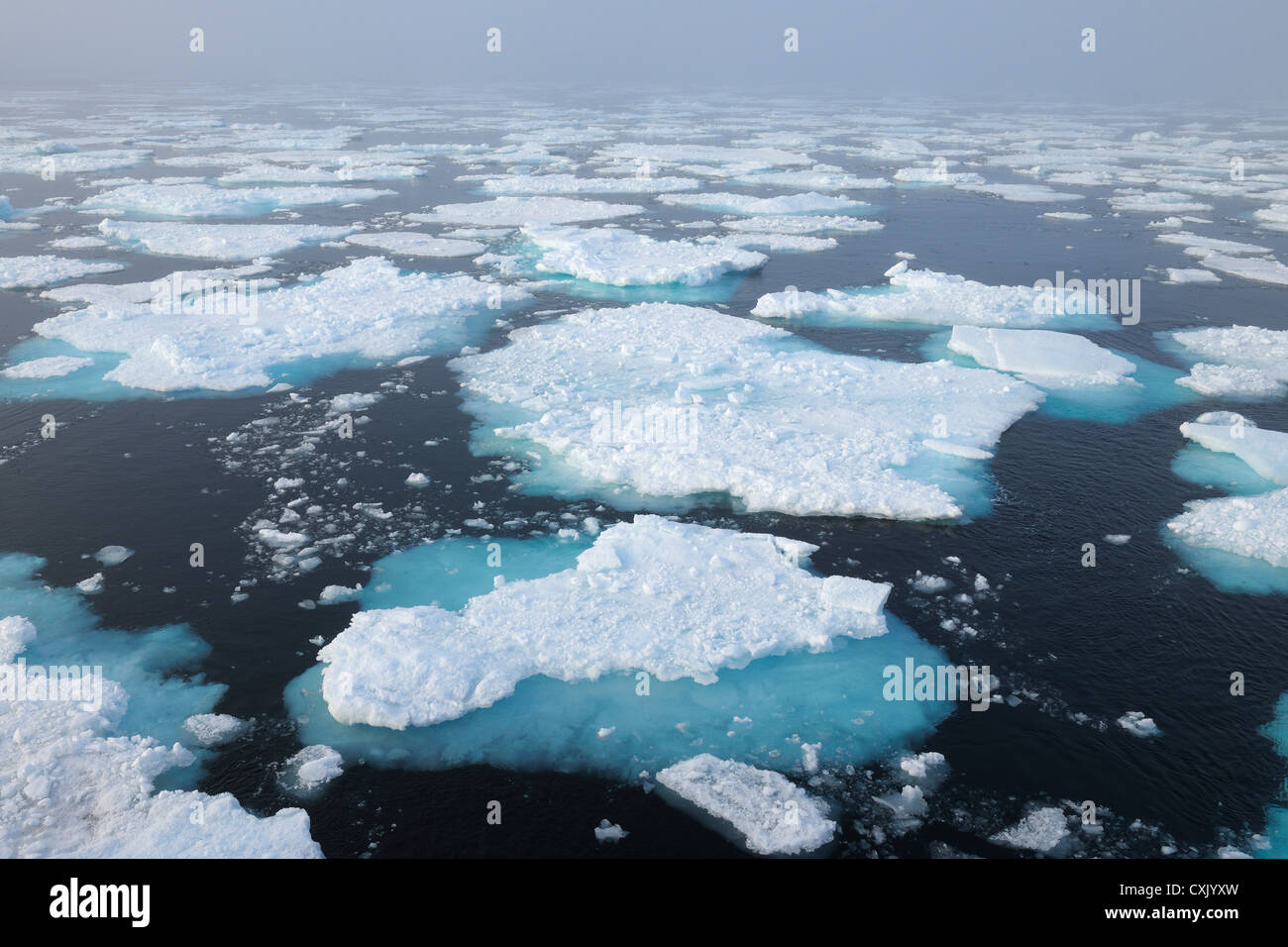 Pack Ice, Greenland Sea, Arctic Ocean, Arctic Stock Photo - Alamy