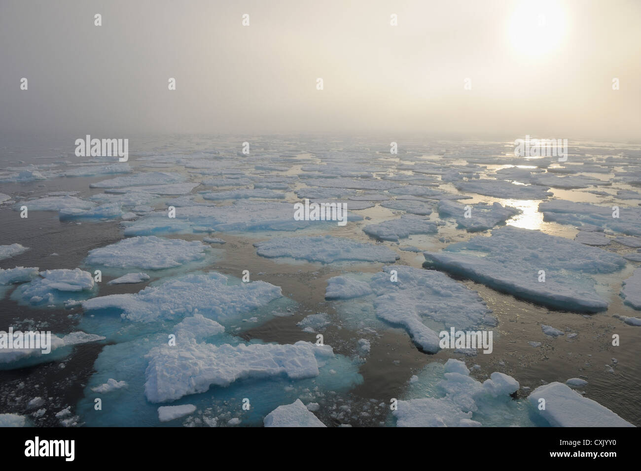 Pack Ice, Greenland Sea, Arctic Ocean, Arctic Stock Photo - Alamy