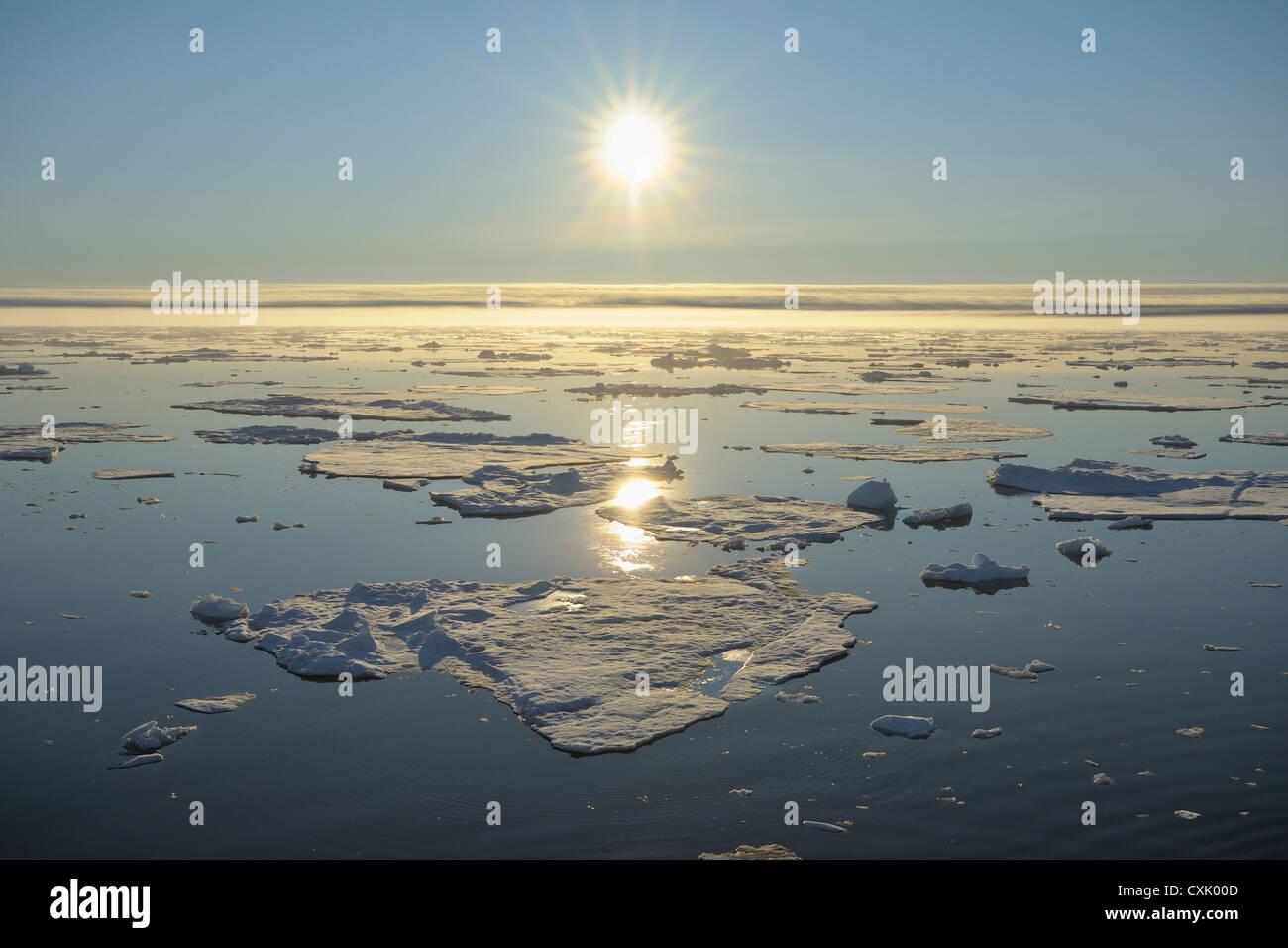 Pack Ice, Greenland Sea, Arctic Ocean, Arctic Stock Photo - Alamy