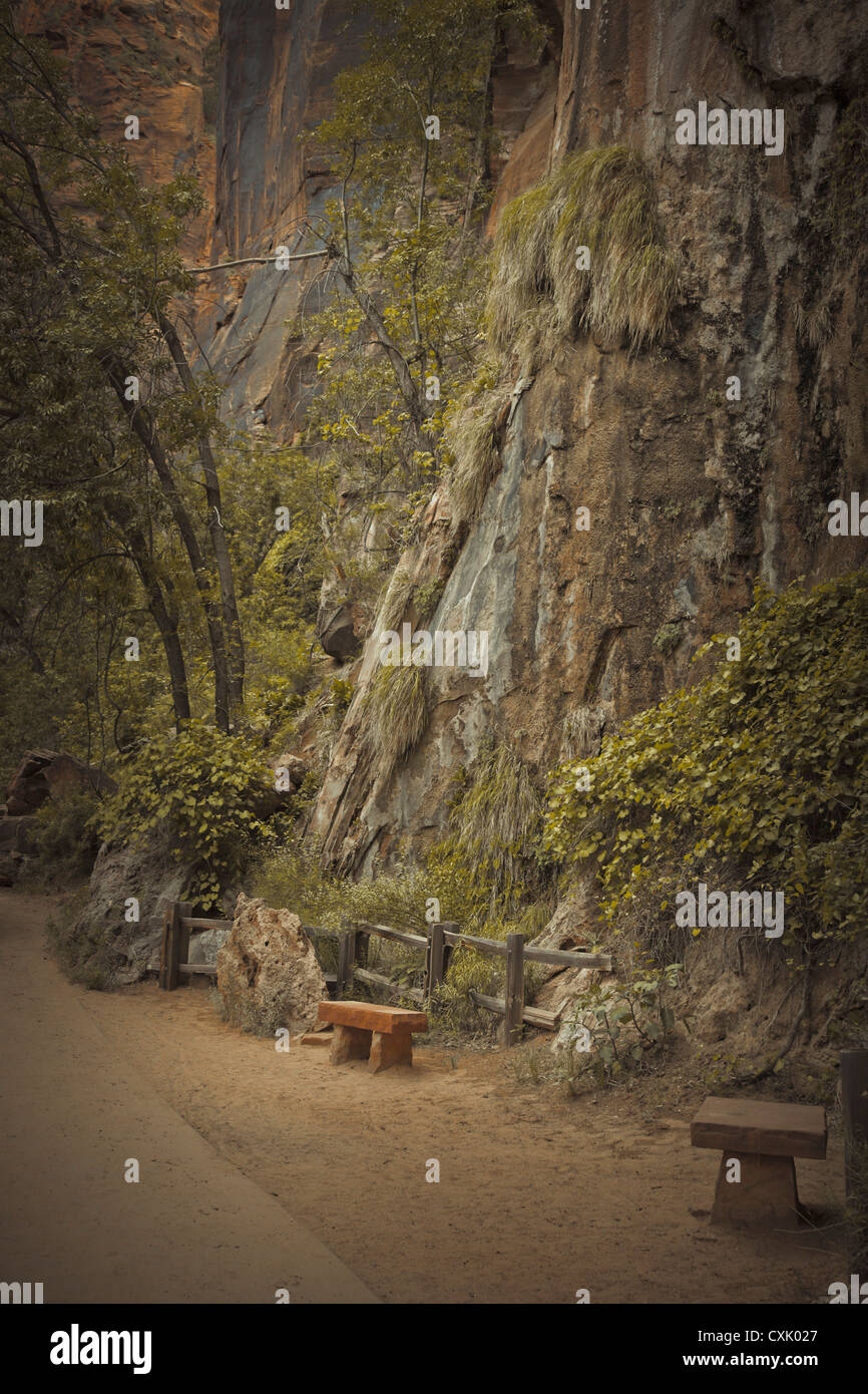 Benches along Riverside Walk Trail, Zion National Park, Utah, USA Stock ...