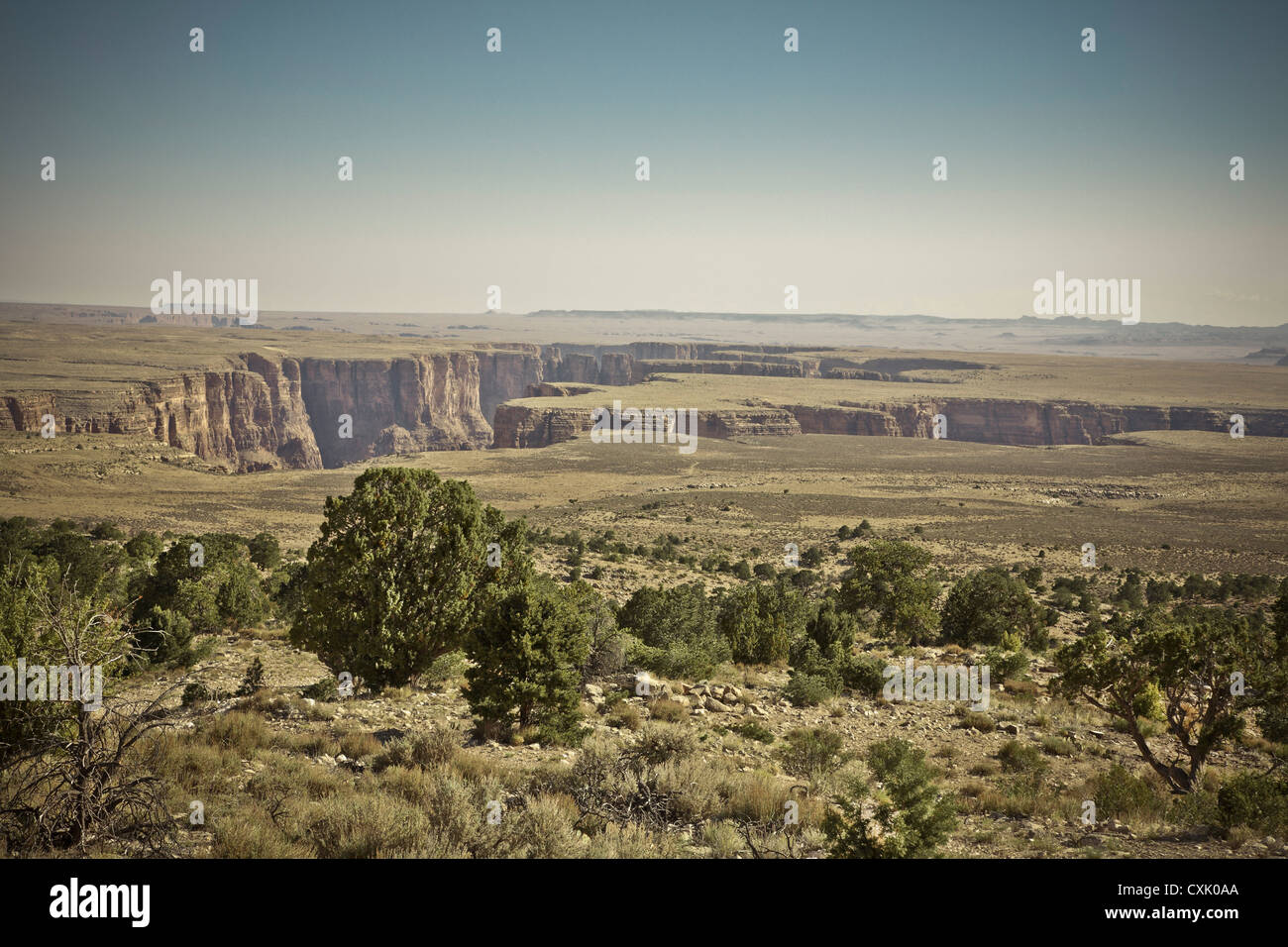 Little Colorado River Gorge, Arizona, USA Stock Photo - Alamy