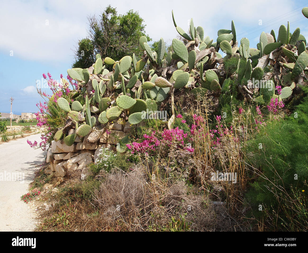 Hot macadam hi-res stock photography and images - Alamy