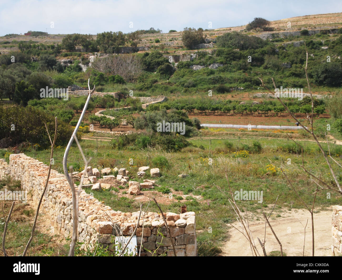 A colorful countryside in Malta Stock Photo - Alamy