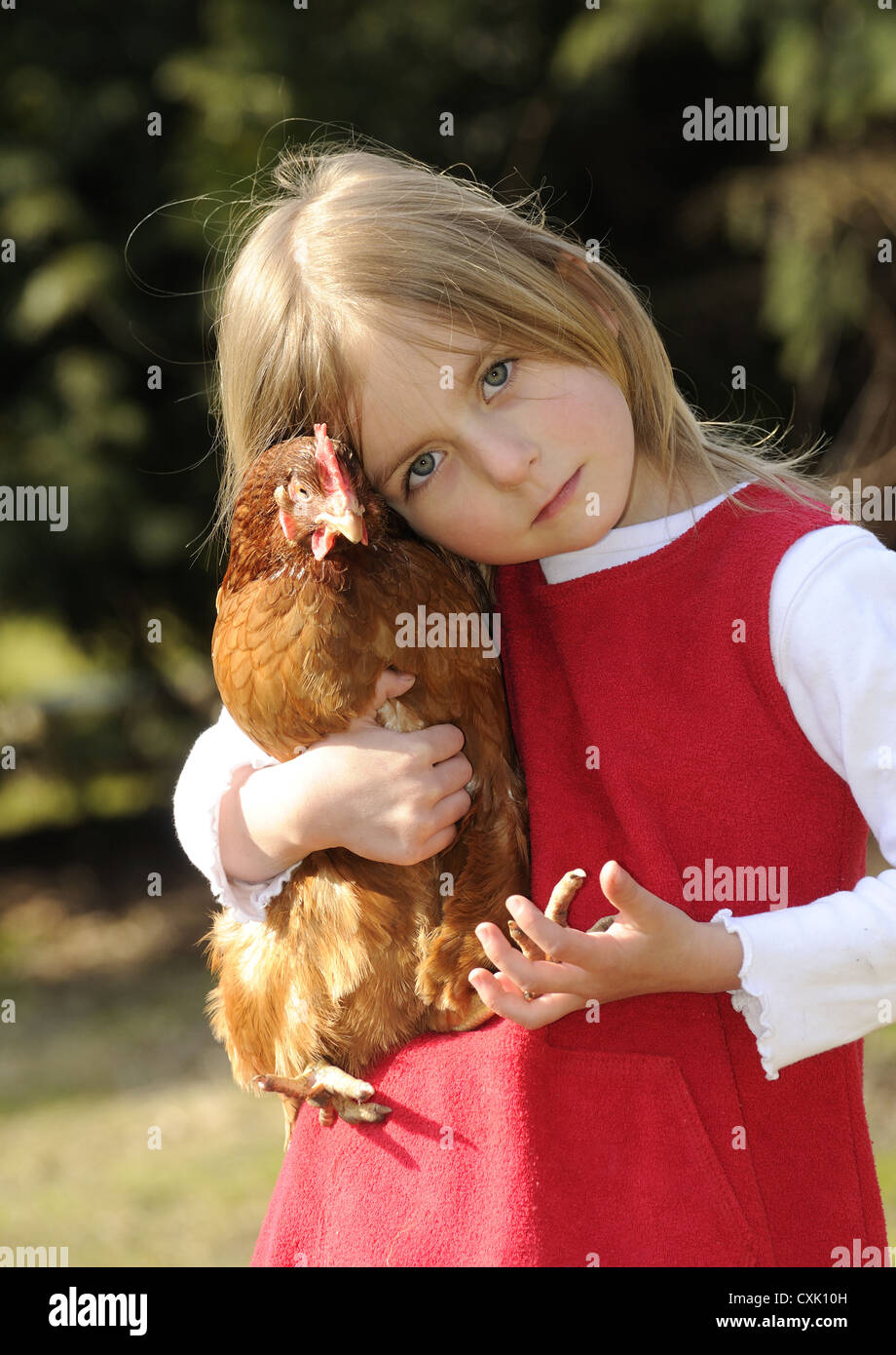 little girl hugging a chicken Stock Photo - Alamy
