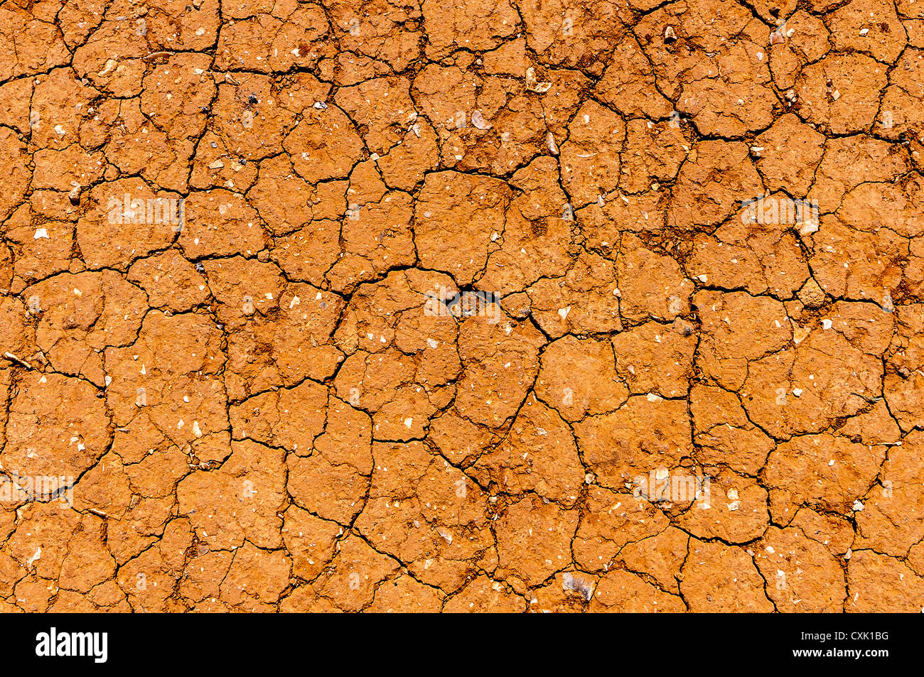 dry cracked earth,etretat,normandy,france,europe Stock Photo - Alamy