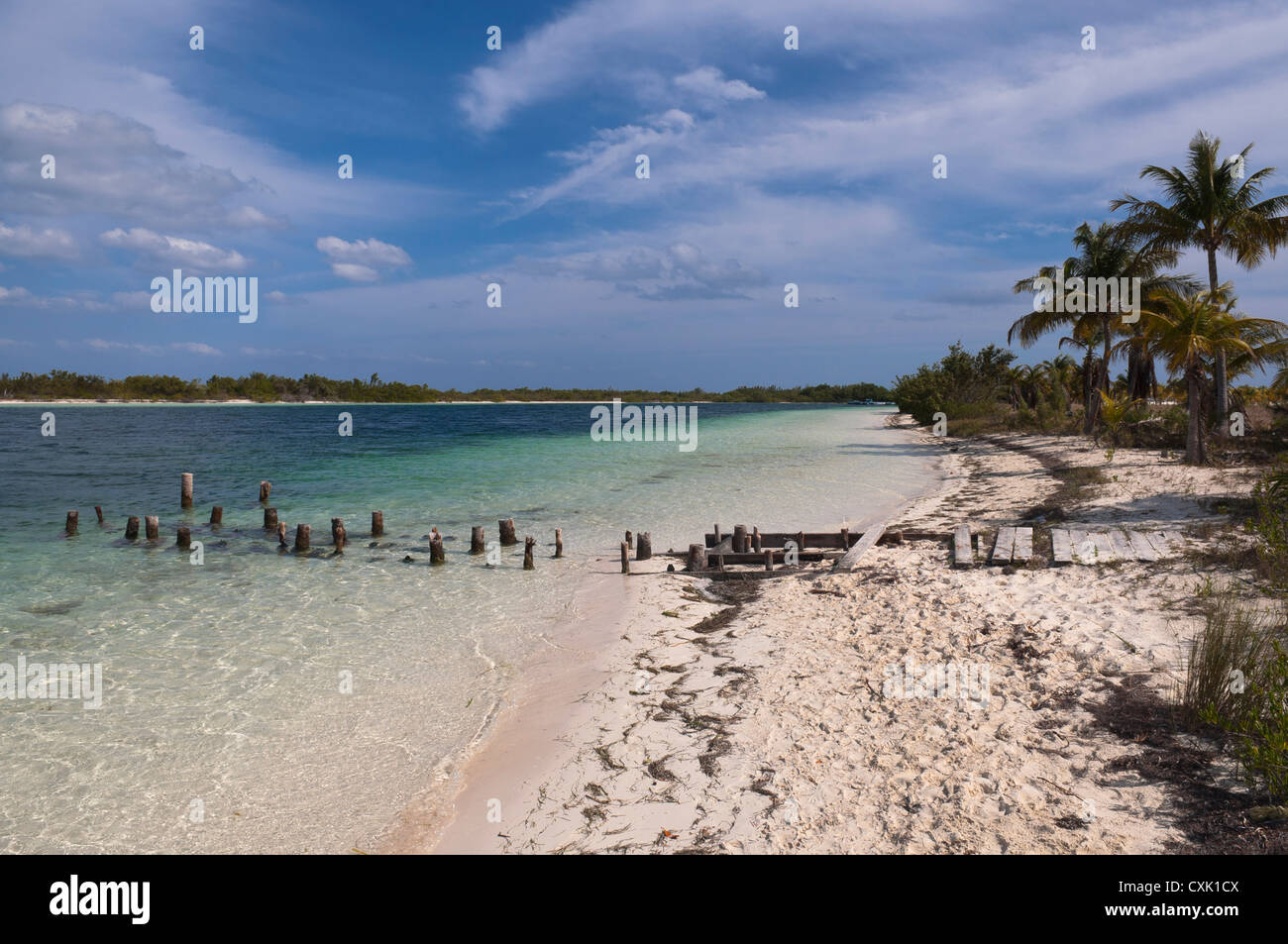Beach, Cayo Largo, Canarreos Archipelago, Cuba Stock Photo - Alamy