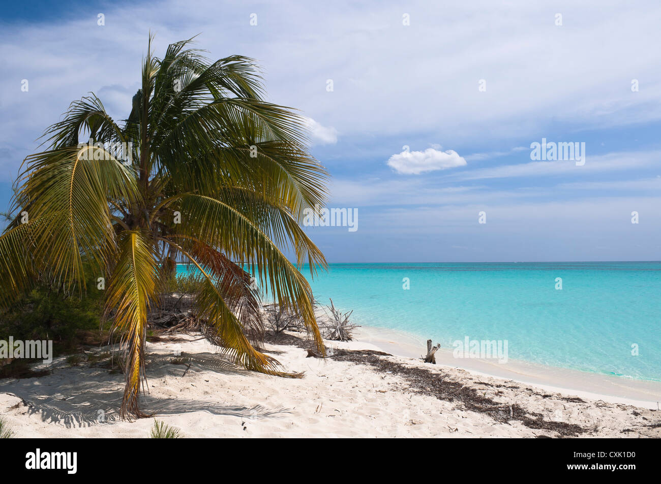Beach, Cayo Largo, Canarreos Archipelago, Cuba Stock Photo - Alamy