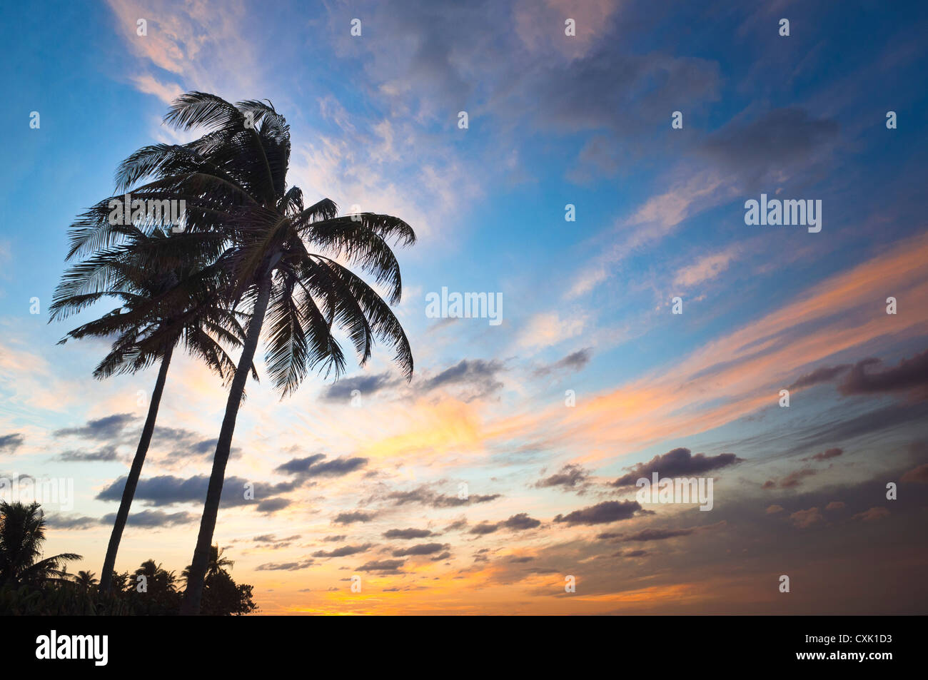 Beach, Varadero, Matanzas Province, Cuba Stock Photo - Alamy
