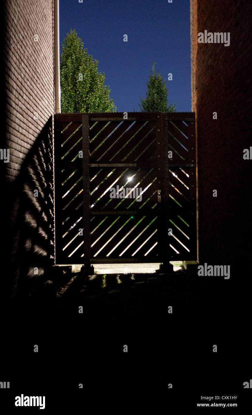 Spooky trees fog fence hi-res stock photography and images - Alamy