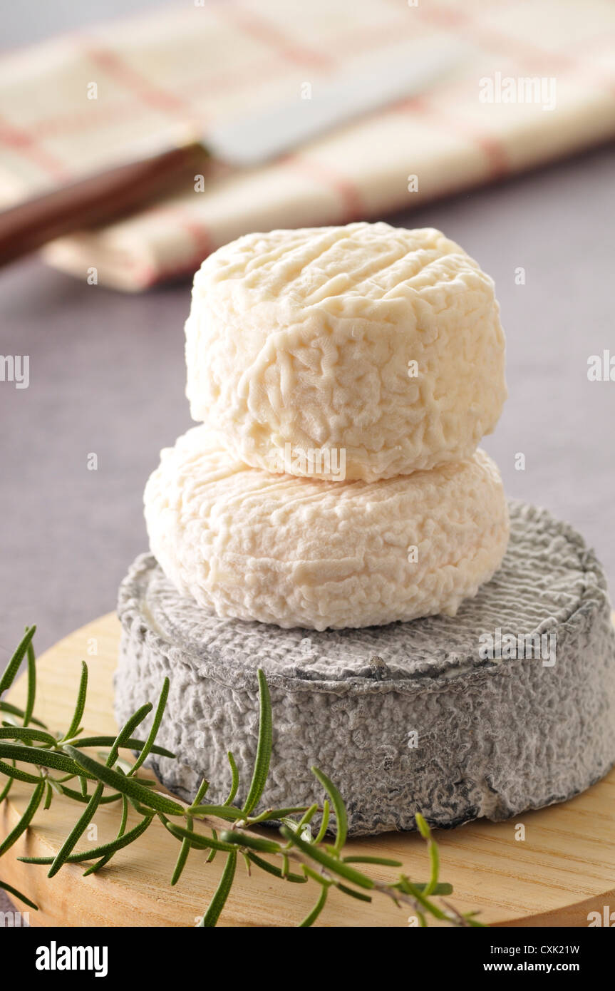Cheese stack, no background hi-res stock photography and images - Alamy