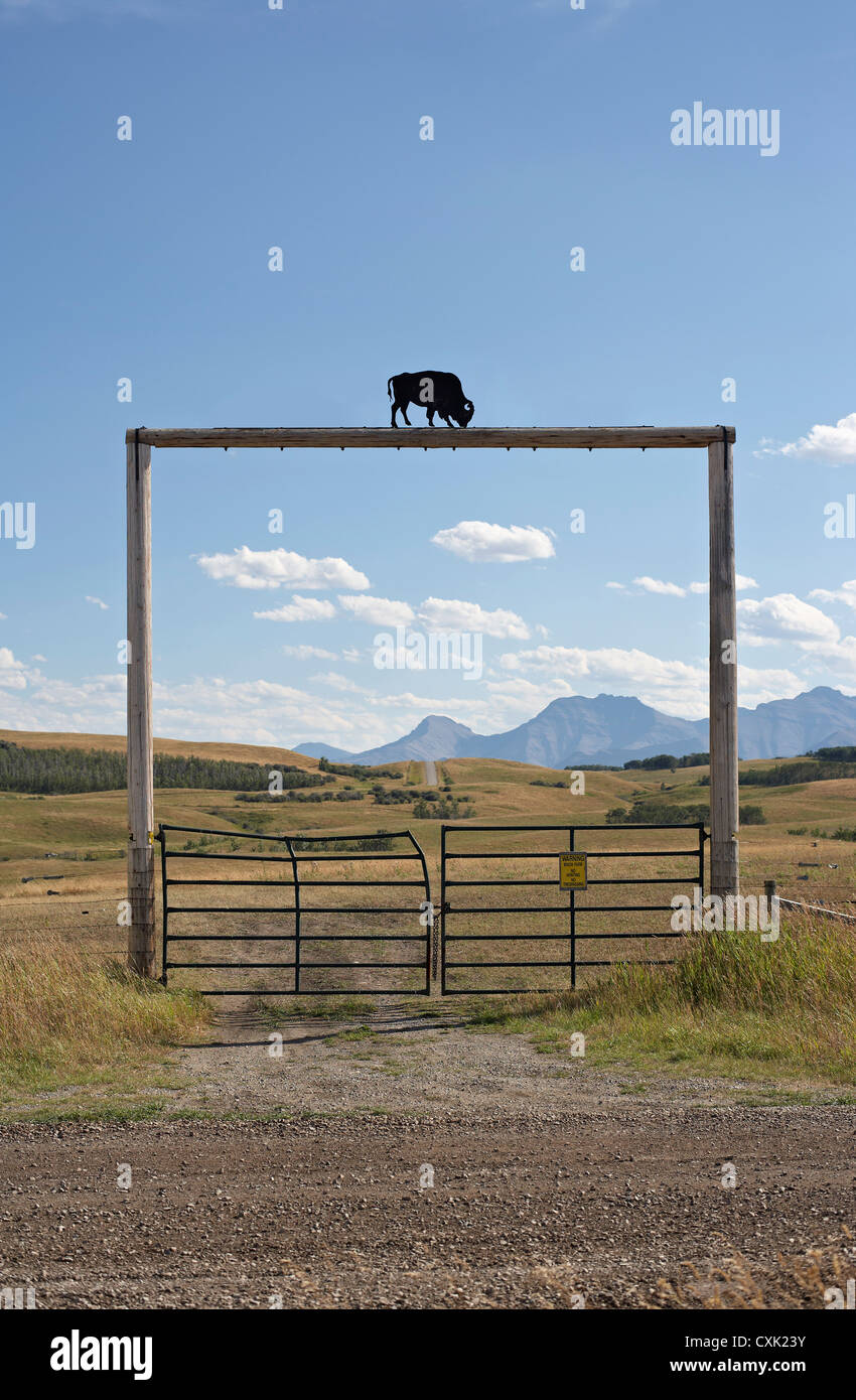 Gate at Tacarsey Bison Ranch, Pincher Creek, Alberta, Canada Stock ...