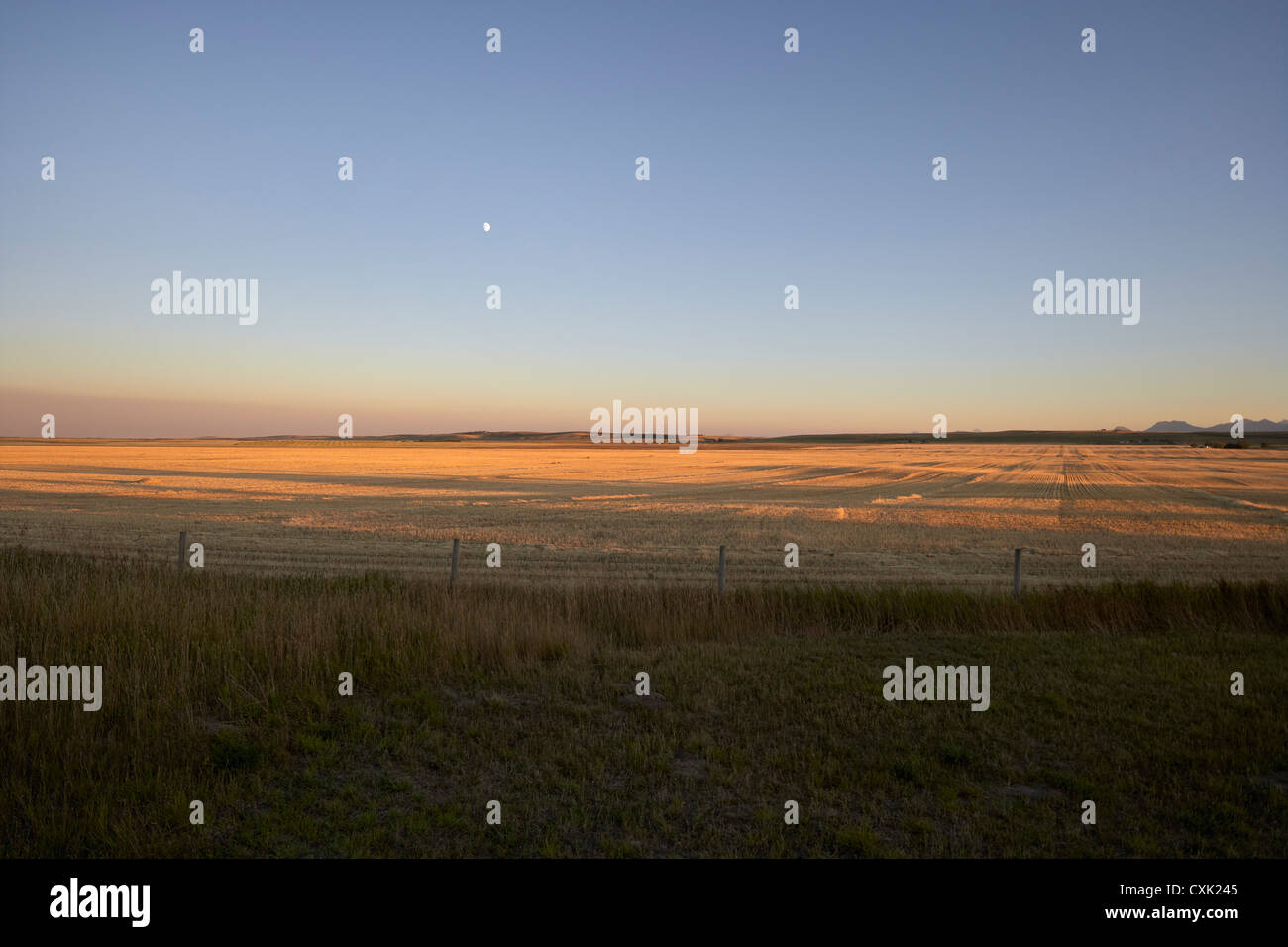 Empty Field at Sunset, Pincher Creek, Alberta, Canada Stock Photo - Alamy