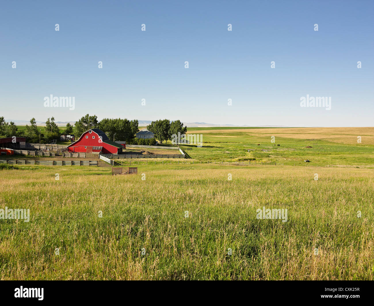 Farm pincher hi-res stock photography and images - Alamy