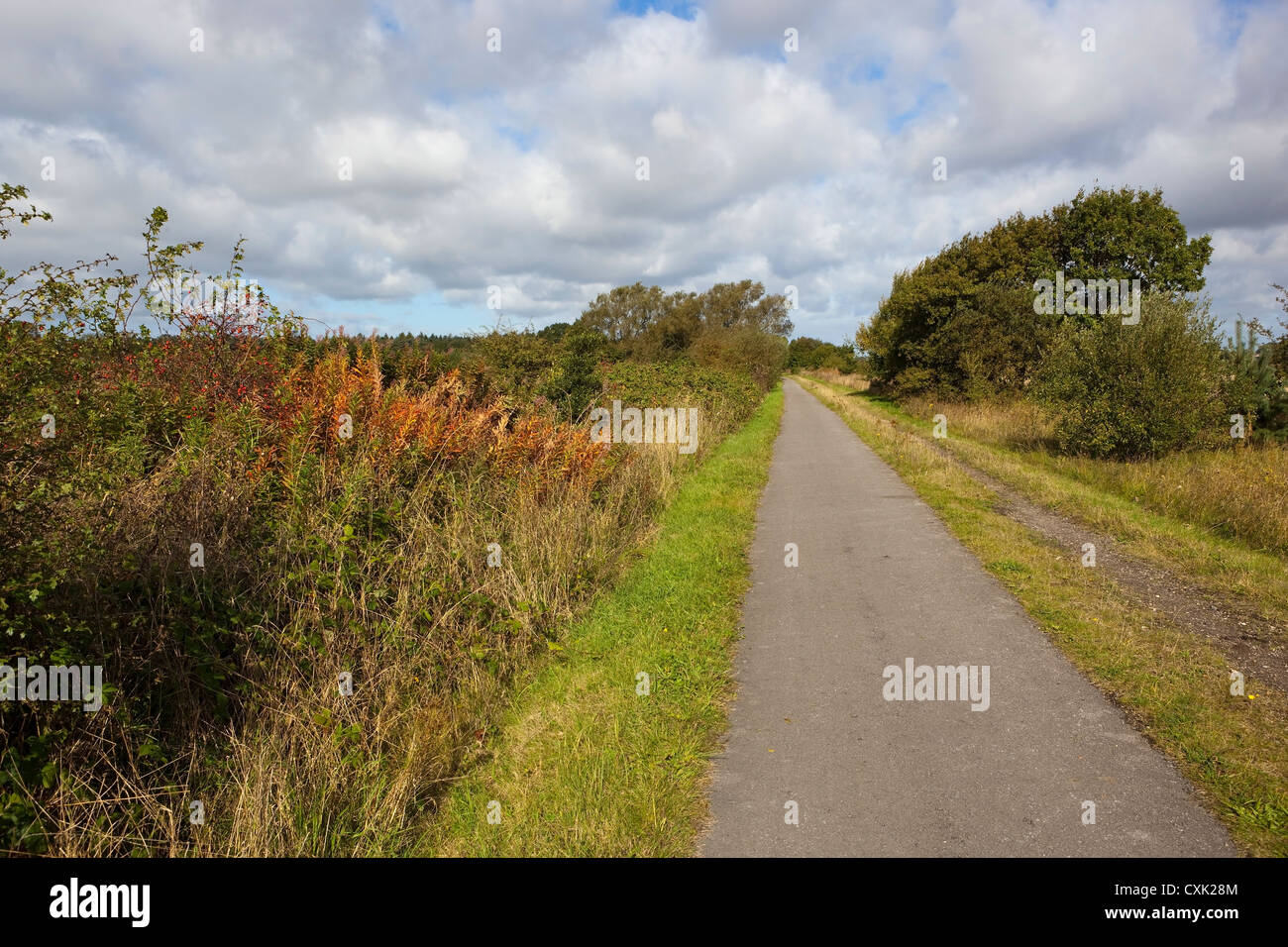 Cloudy skies over a cycle track with colorful trees and shrubs in an ...