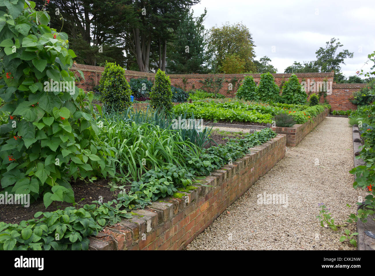 A walled kitchen garden Stock Photo - Alamy