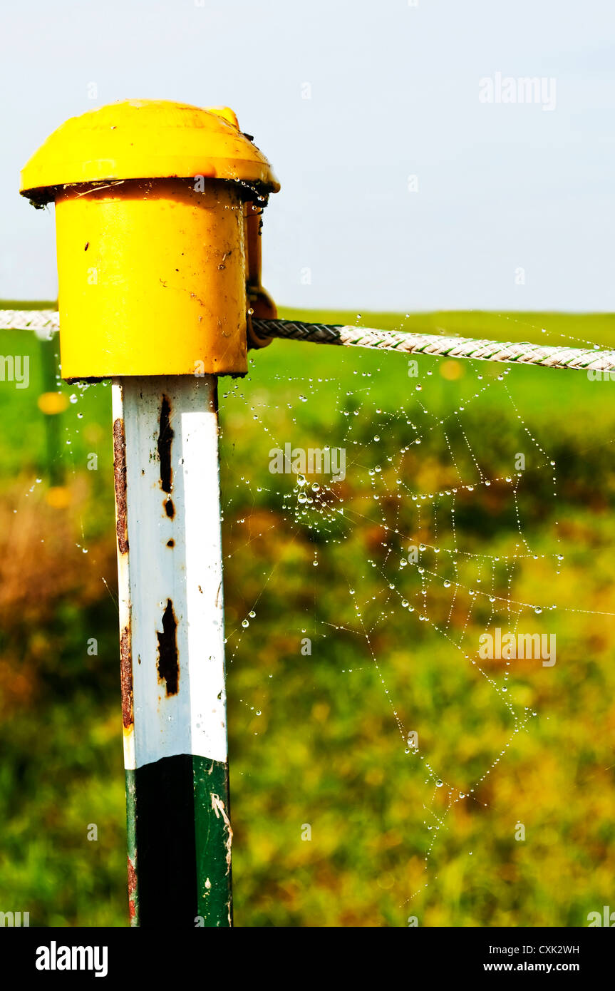 fence post with spider web Stock Photo - Alamy