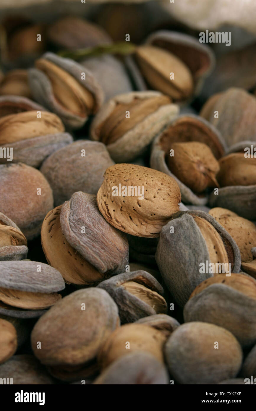 Picture: Steve Race - A mixed bag of Spanish almonds, often called ...