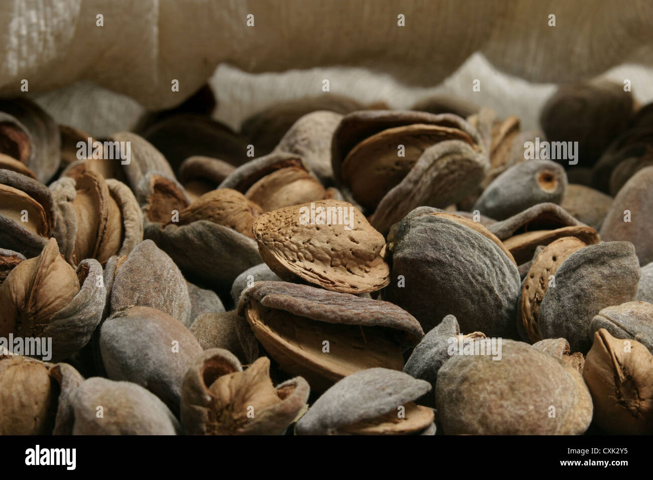 Picture: Steve Race - A mixed bag of Spanish almonds, often called ...