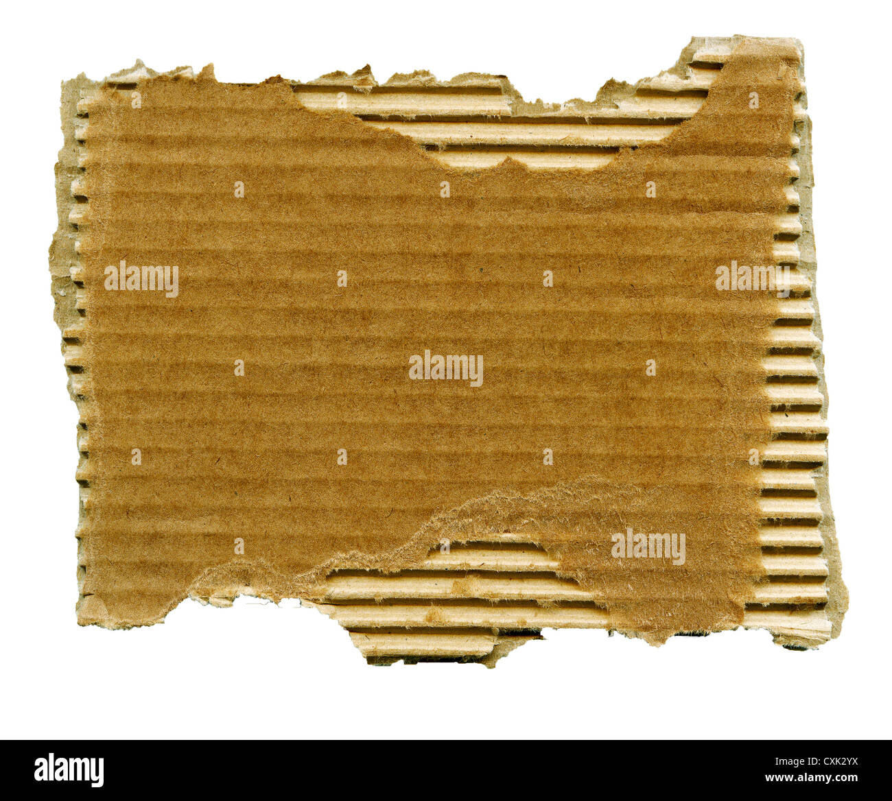 Torn cardboard isolated Stock Photo - Alamy