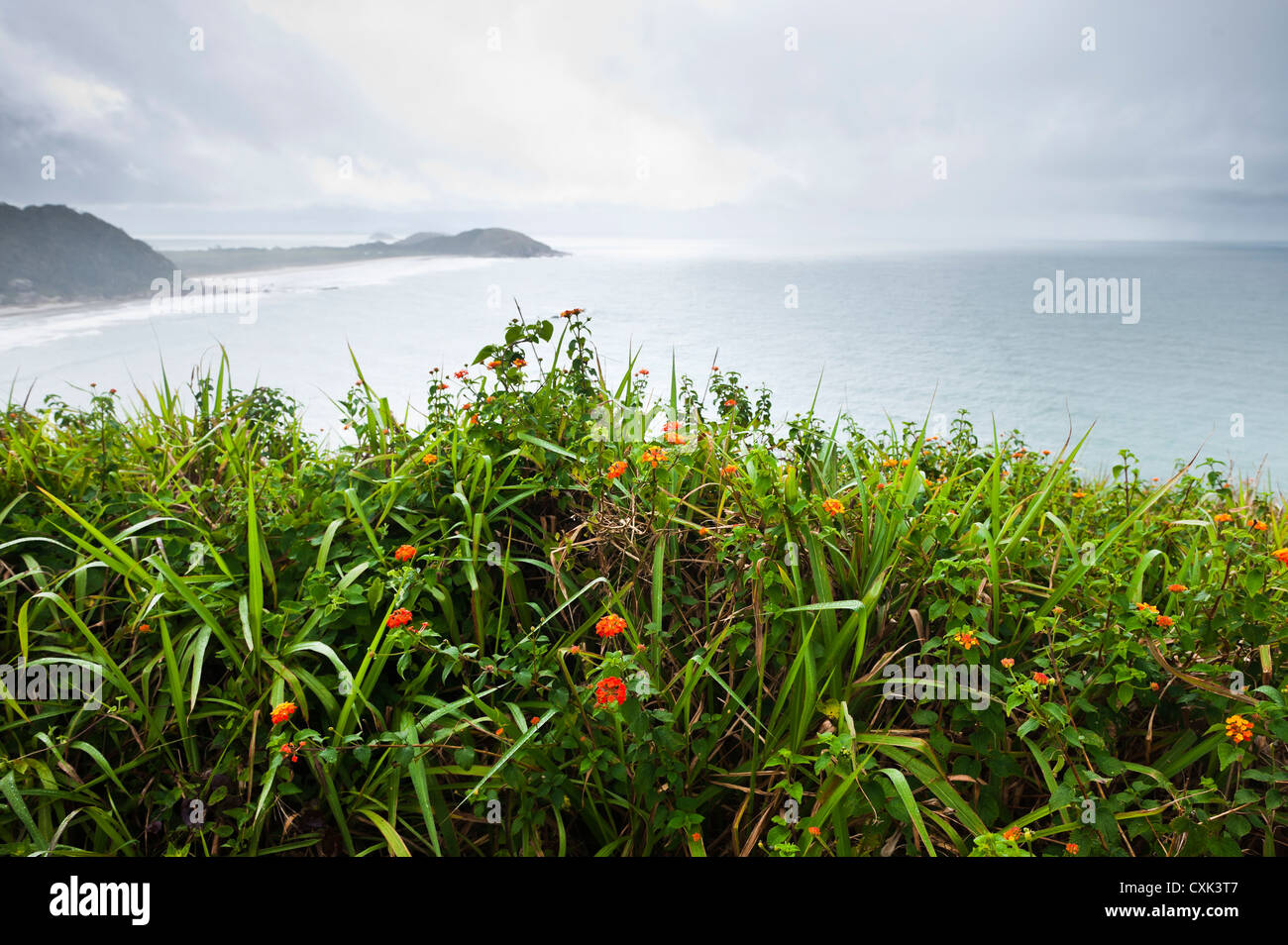 Scenic View from Ilha do Mel, Parana, Brazil Stock Photo - Alamy