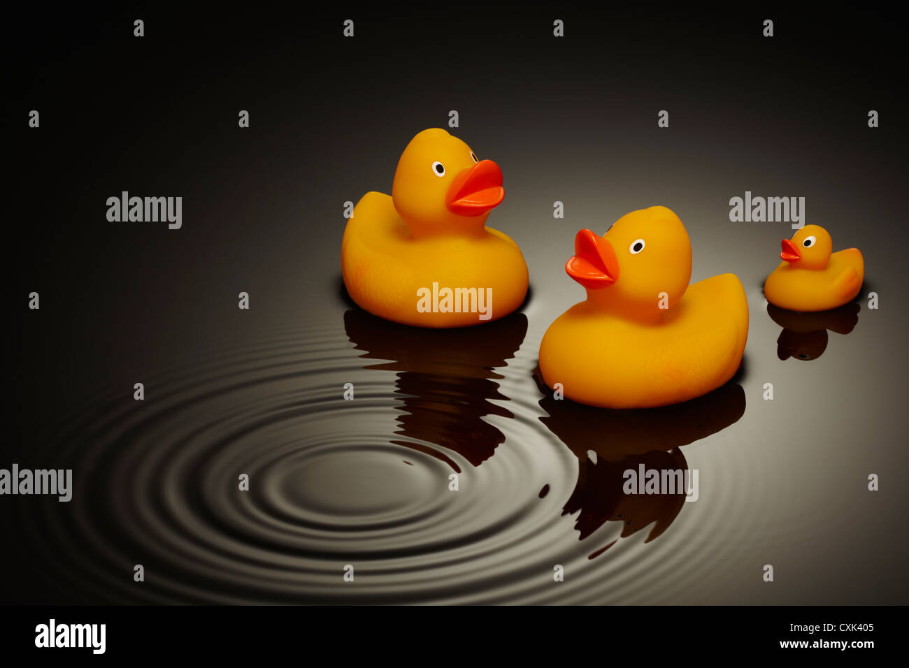 Family of Ducks with Ripple on Water Stock Photo - Alamy