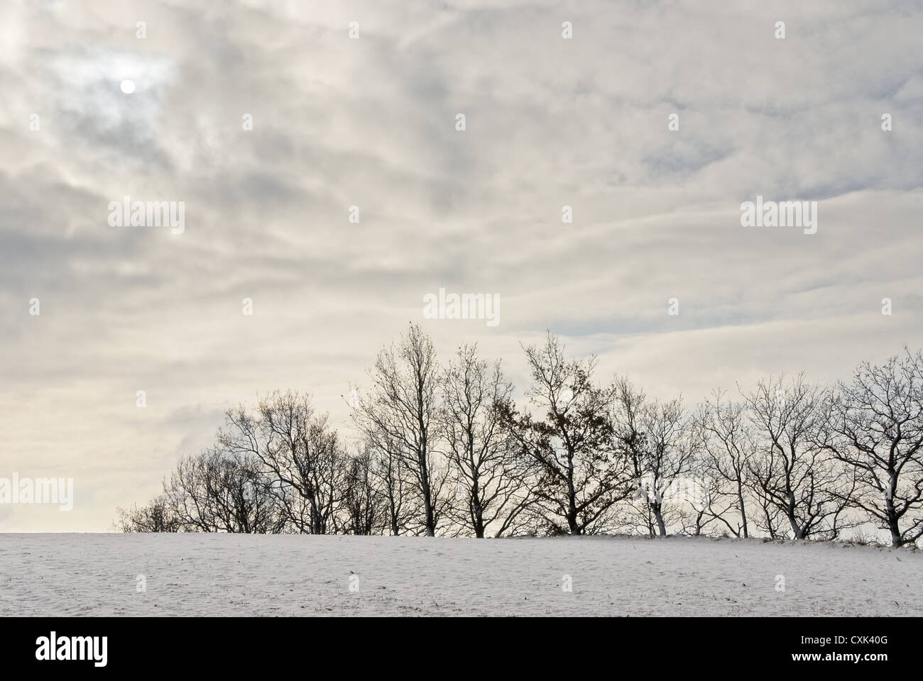 Winterly horizontal hi-res stock photography and images - Alamy