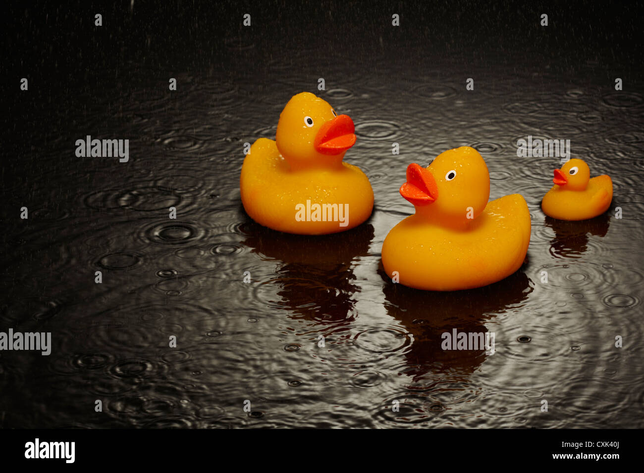 Family of Ducks in Heavy Rain on Water Stock Photo - Alamy