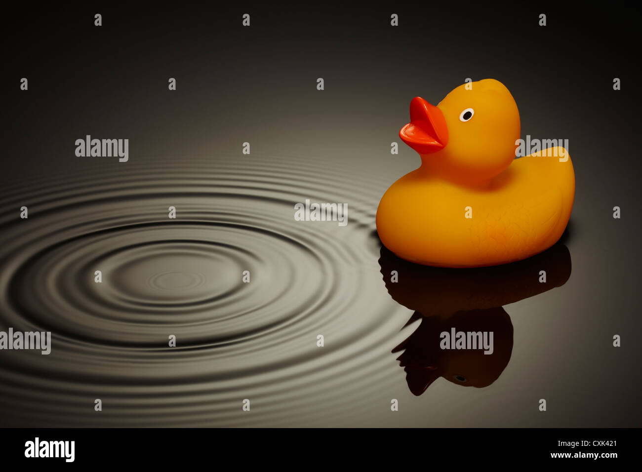 Toy duck with ripple on water hi-res stock photography and images - Alamy