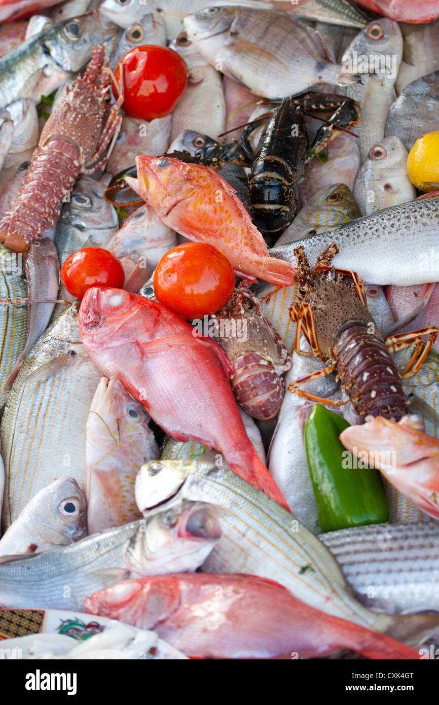 Local, fresh fish and seafood display with tomatoes, green pepper and ...