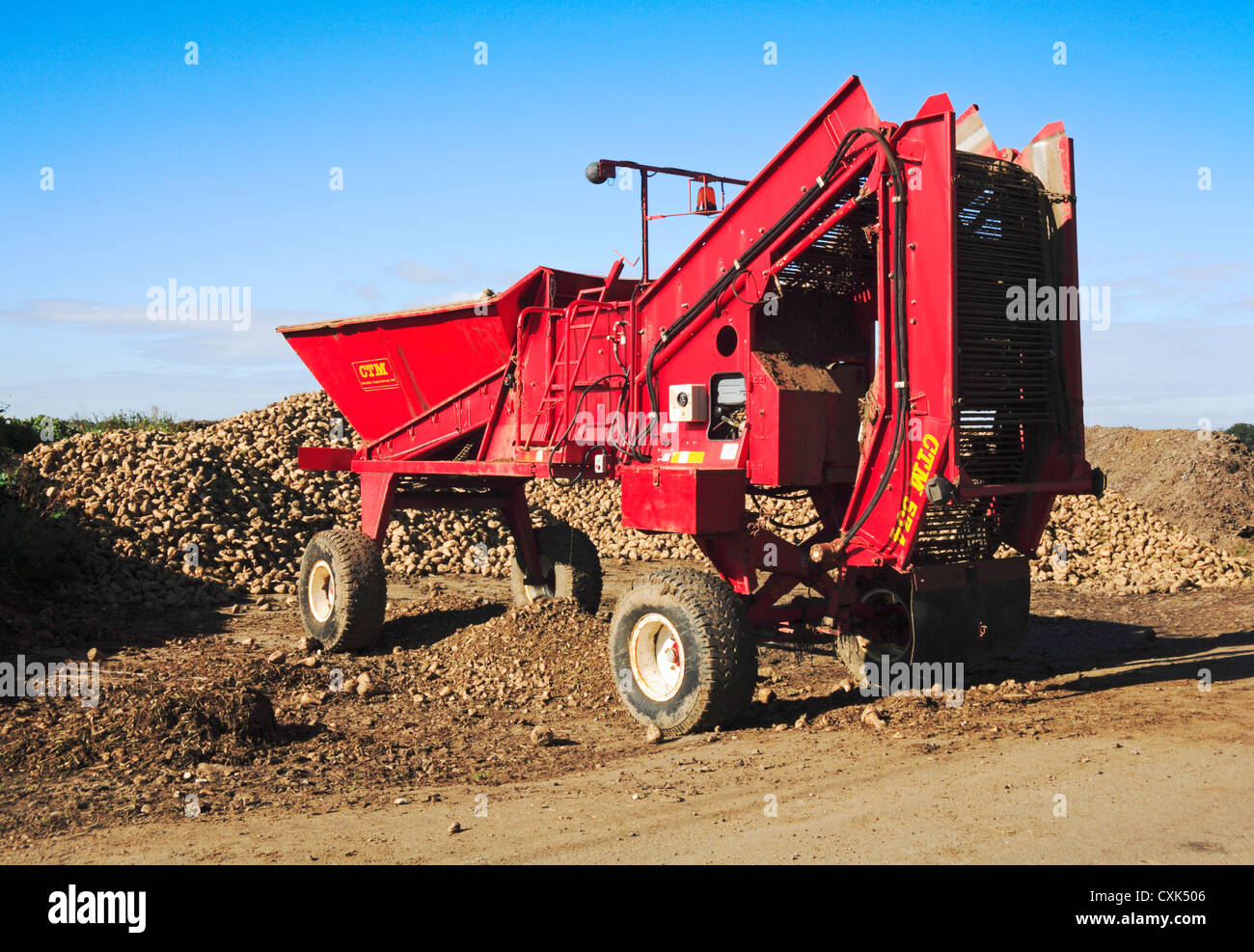 Heaps of harvested sugar beet with loader on a country road in Forncett ...