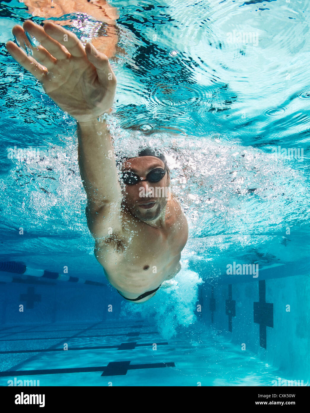 Swimmer, International Swimming Hall of Fame, Fort Lauderdale, Florida ...