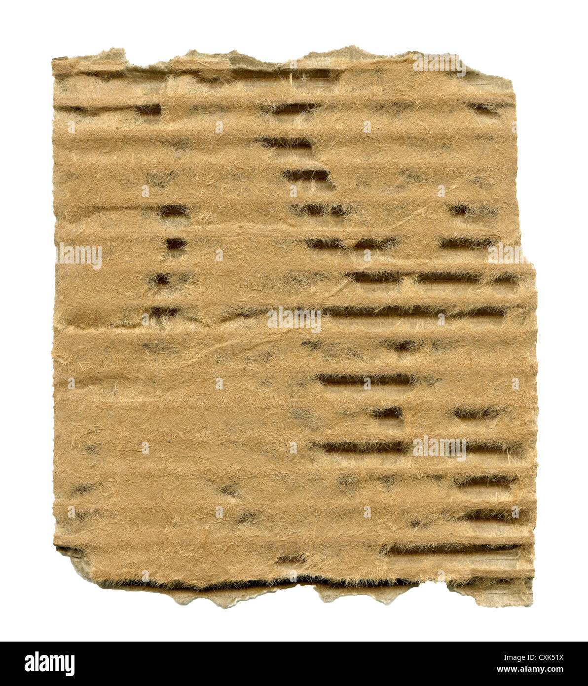 Ribbed edges hi-res stock photography and images - Alamy