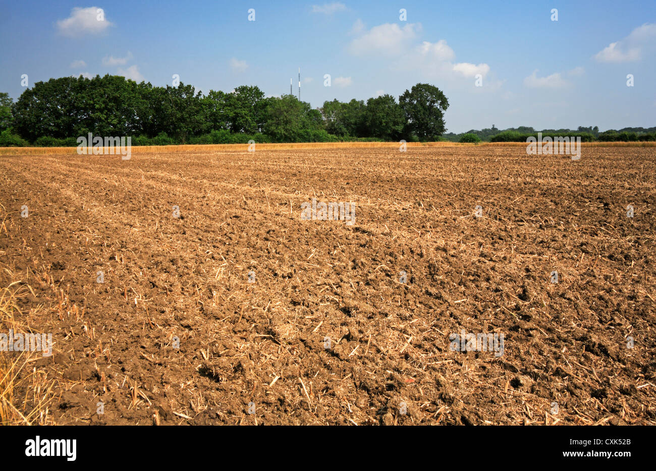 Harrowed hi-res stock photography and images - Alamy