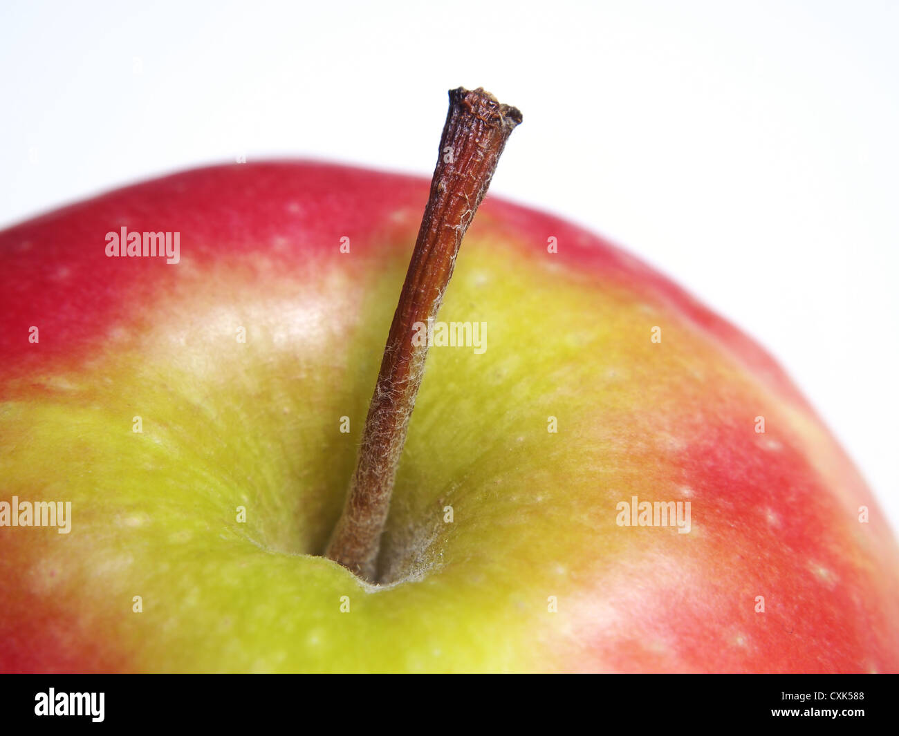 Apple stalk apfel stiel hi-res stock photography and images - Alamy