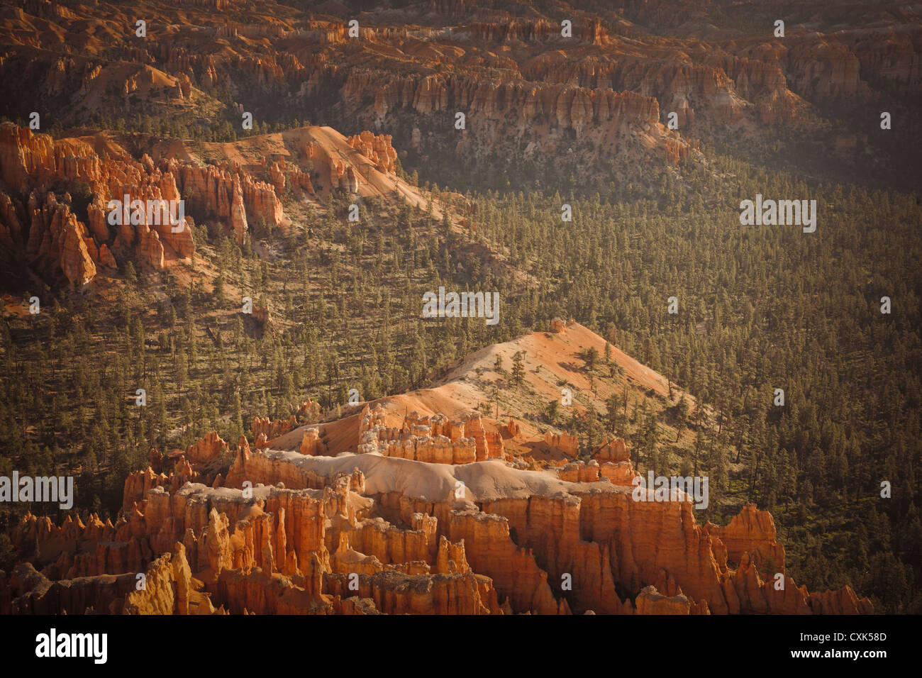 Bryce Amphitheater, Bryce Canyon National Park, Utah, USA Stock Photo ...