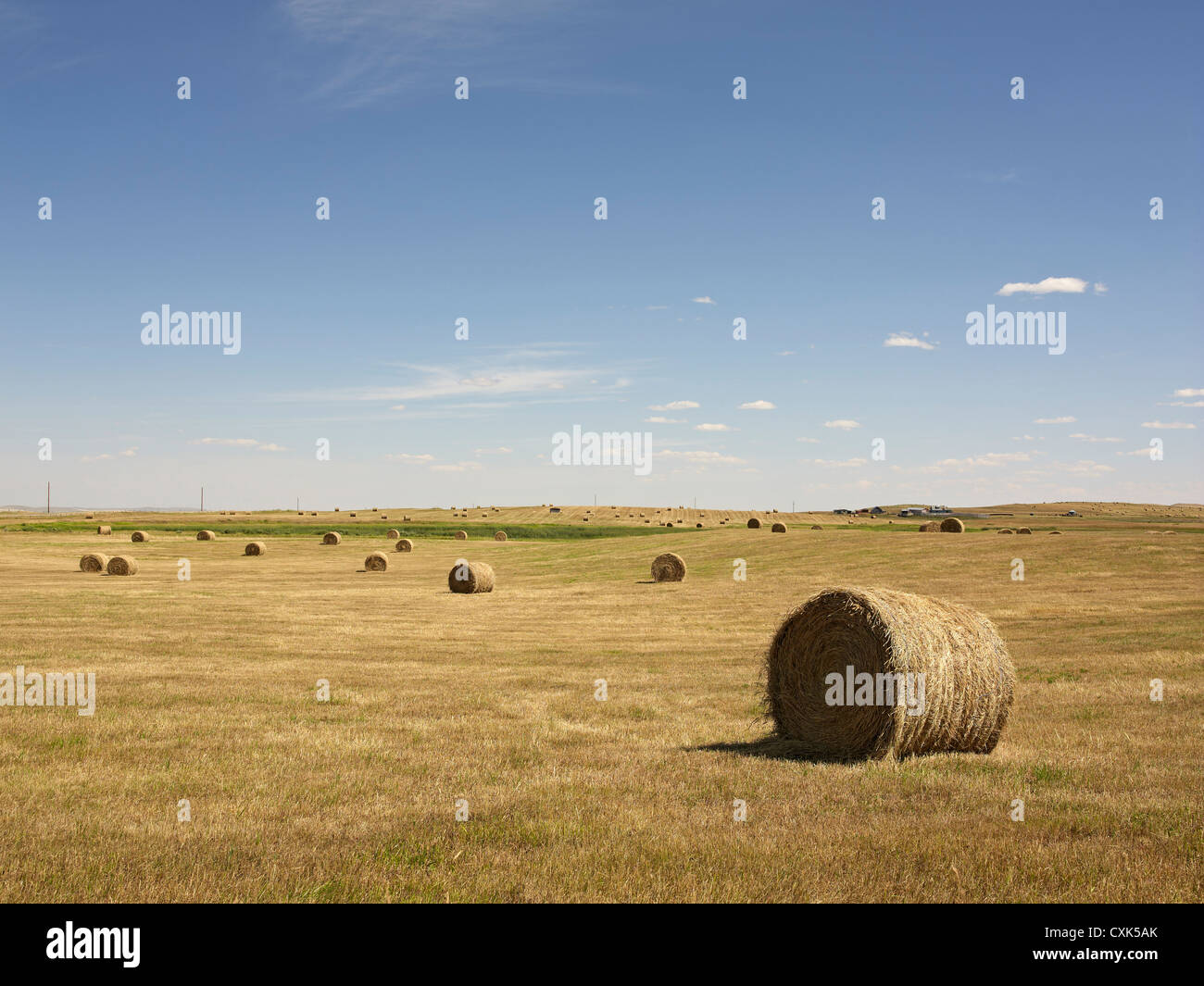 Hay Bales, Pincher Creek, Alberta, Canada Stock Photo - Alamy