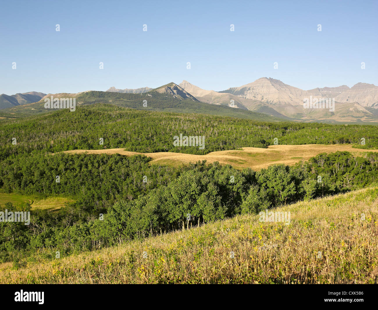 Valley and Mountains, Pincher Creek, Alberta, Canada Stock Photo - Alamy