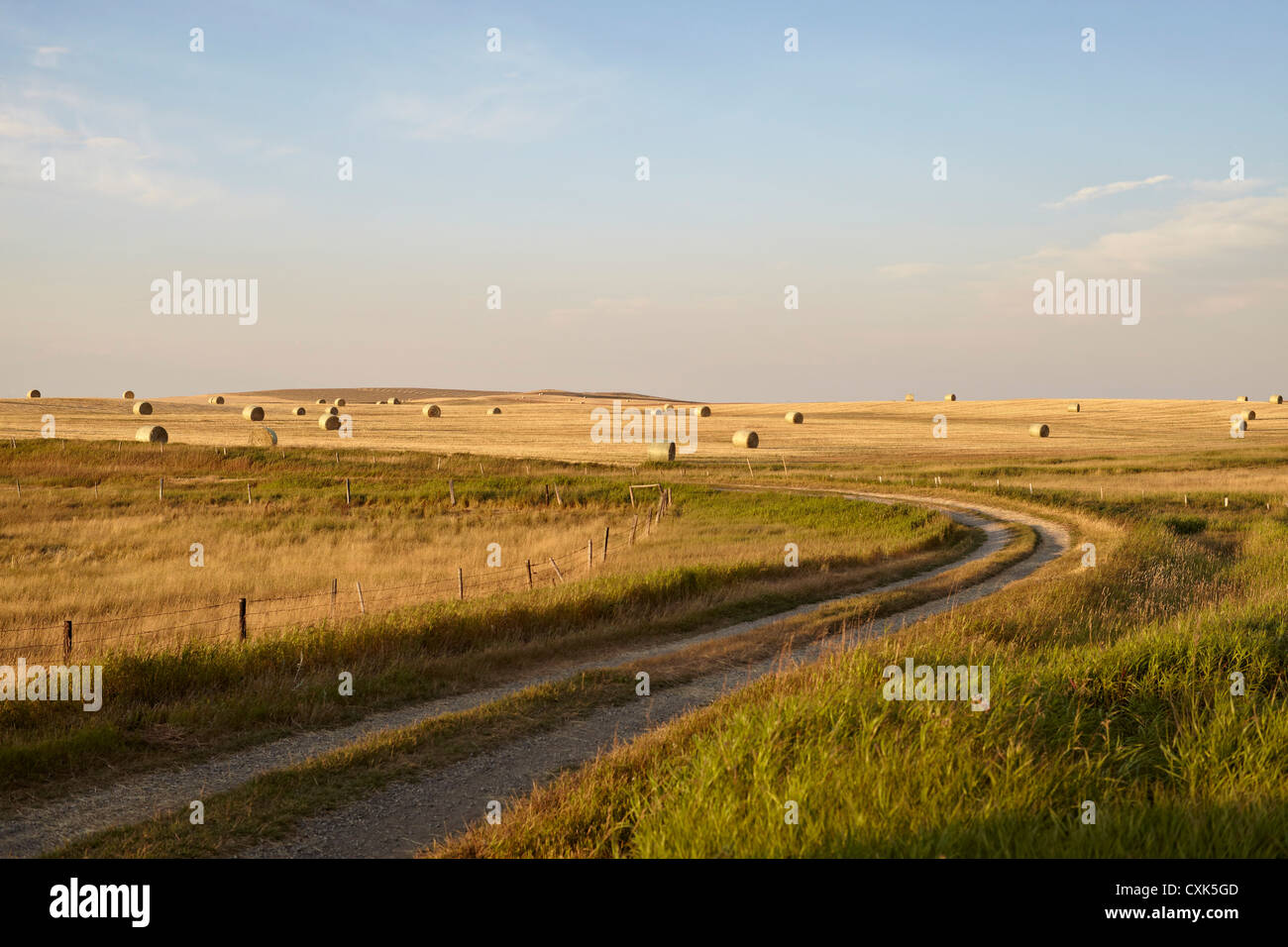 Gravel Road through Hay Fields, Pincher Creek, Alberta, Canada Stock ...