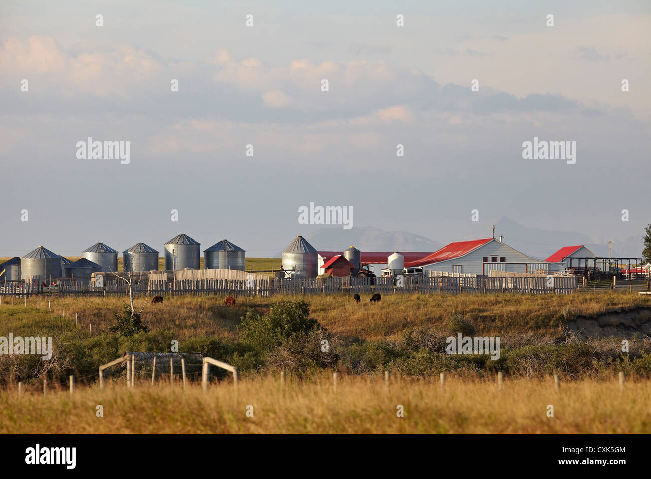 Farm Buildings, Mountains in Distance, Utopia Farm, Pincher Creek ...