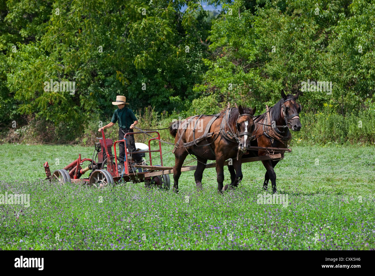 Amish farmer hi-res stock photography and images - Alamy