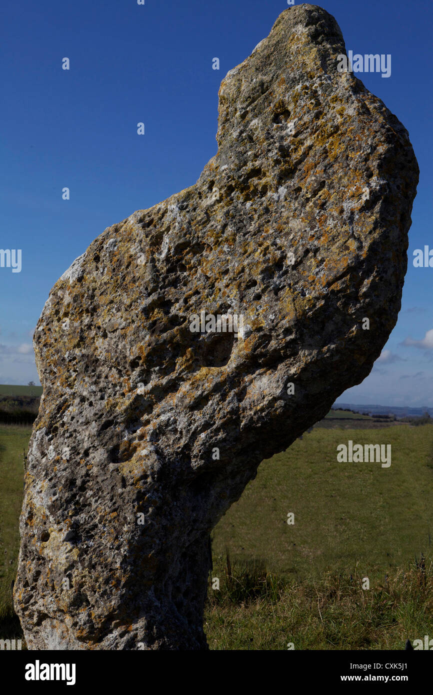 The King Stone, Rollright Stones Stock Photo - Alamy