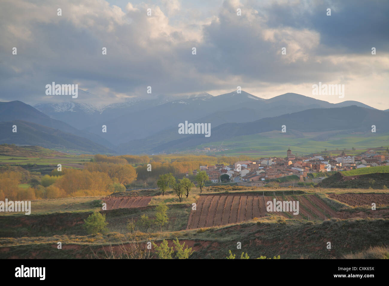 Cardenas valley, Rioja wine region, Spain, Europe Stock Photo - Alamy