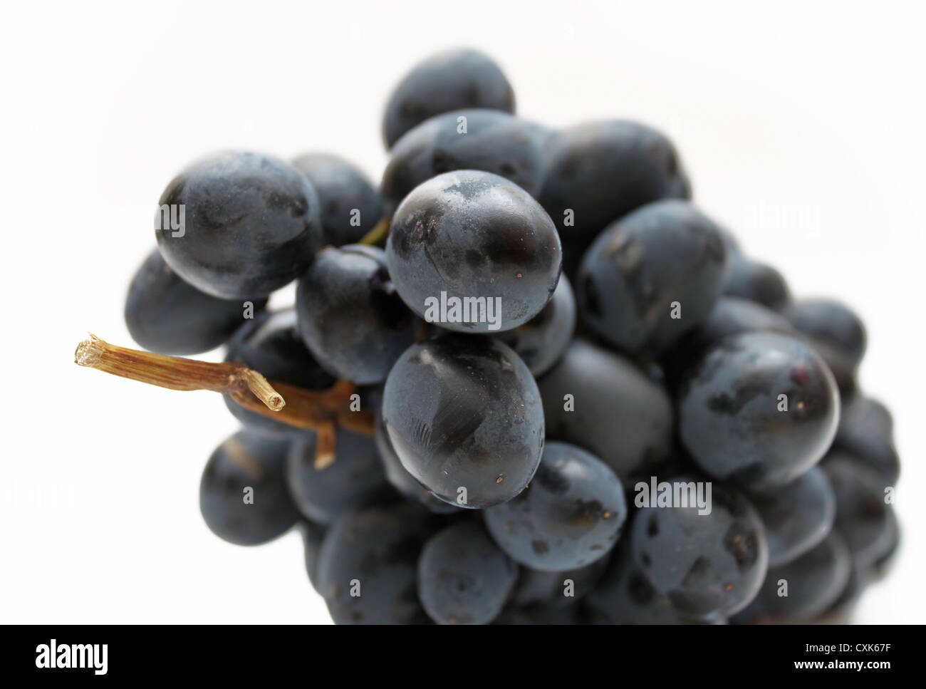 cluster of grapes Stock Photo - Alamy
