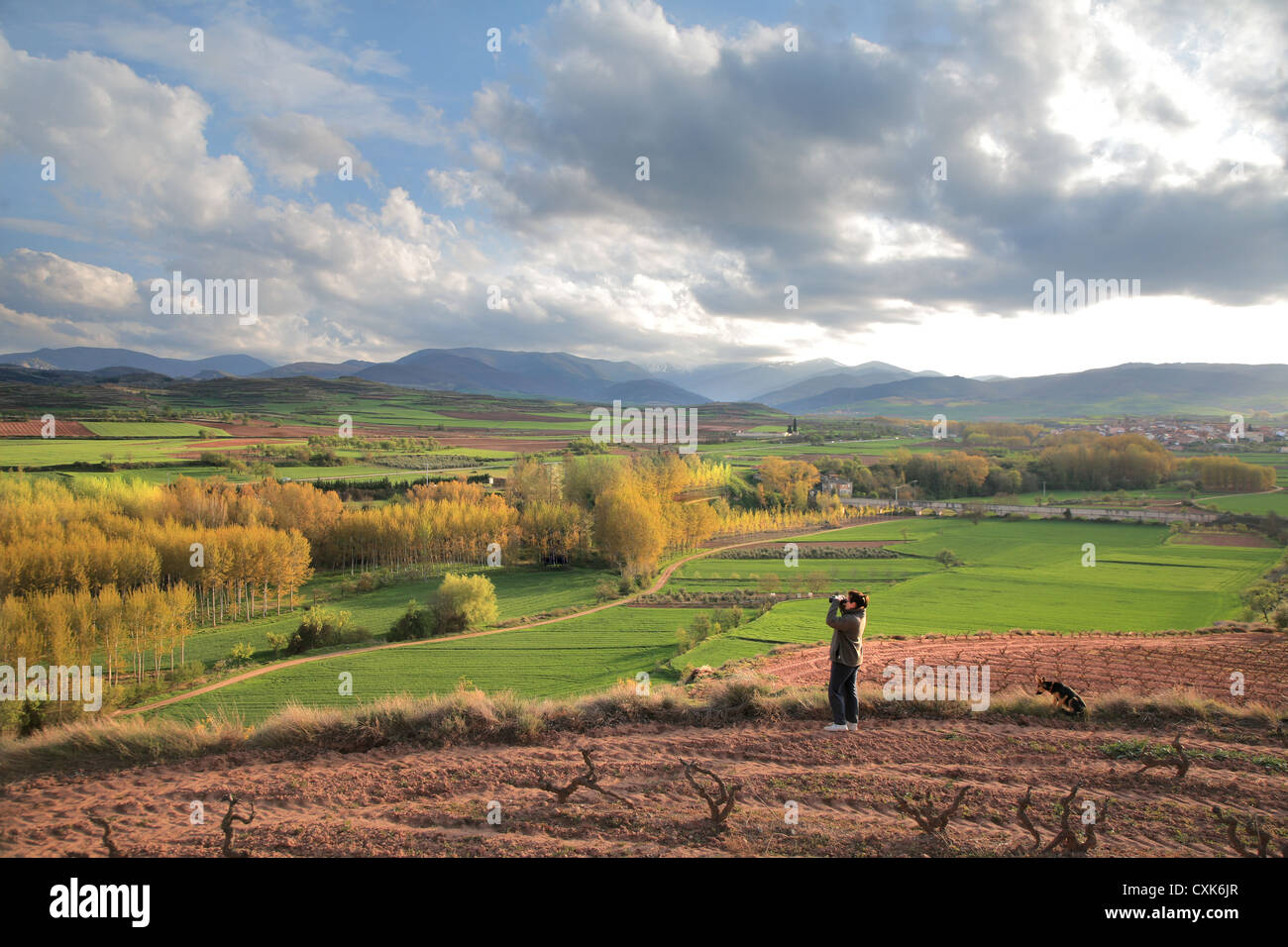 San Millan Valley, Cardenas valley, Badaran, rioja wine region, Spain ...