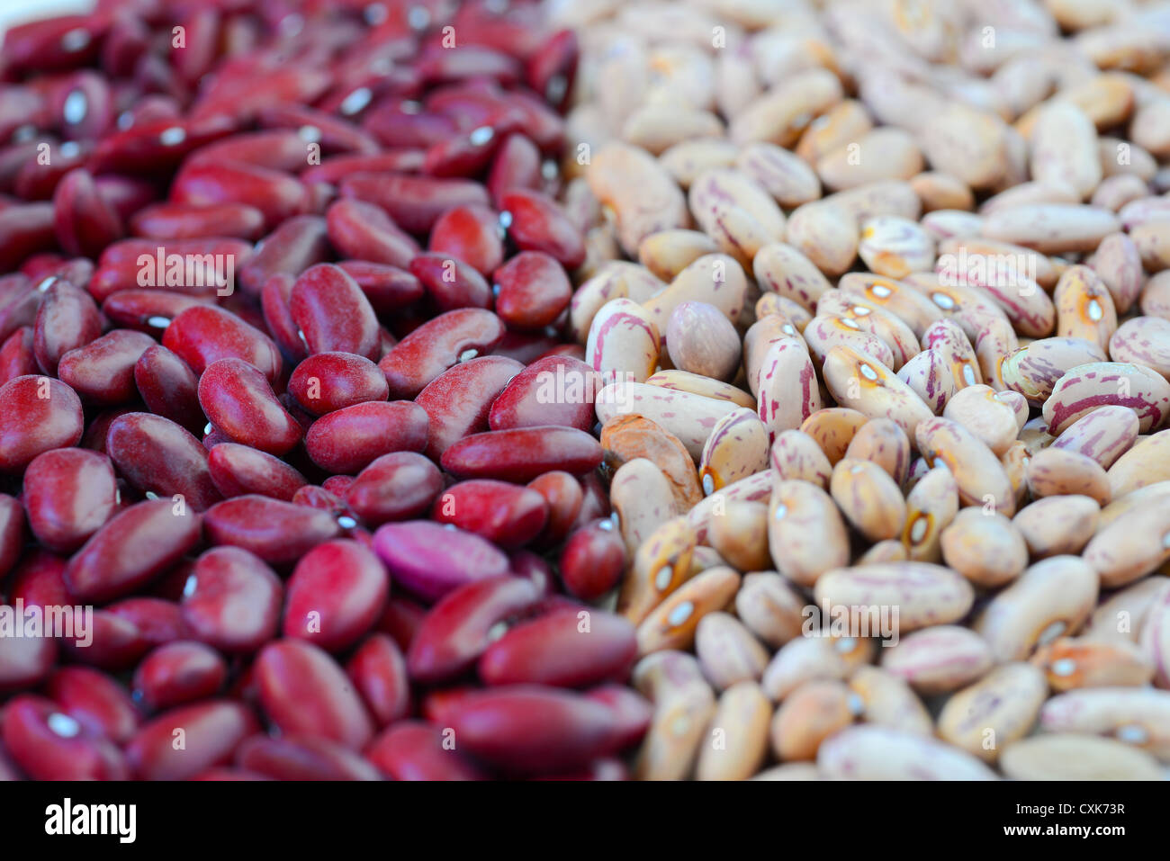 Close-up dry white and red beans on natural light Stock Photo - Alamy