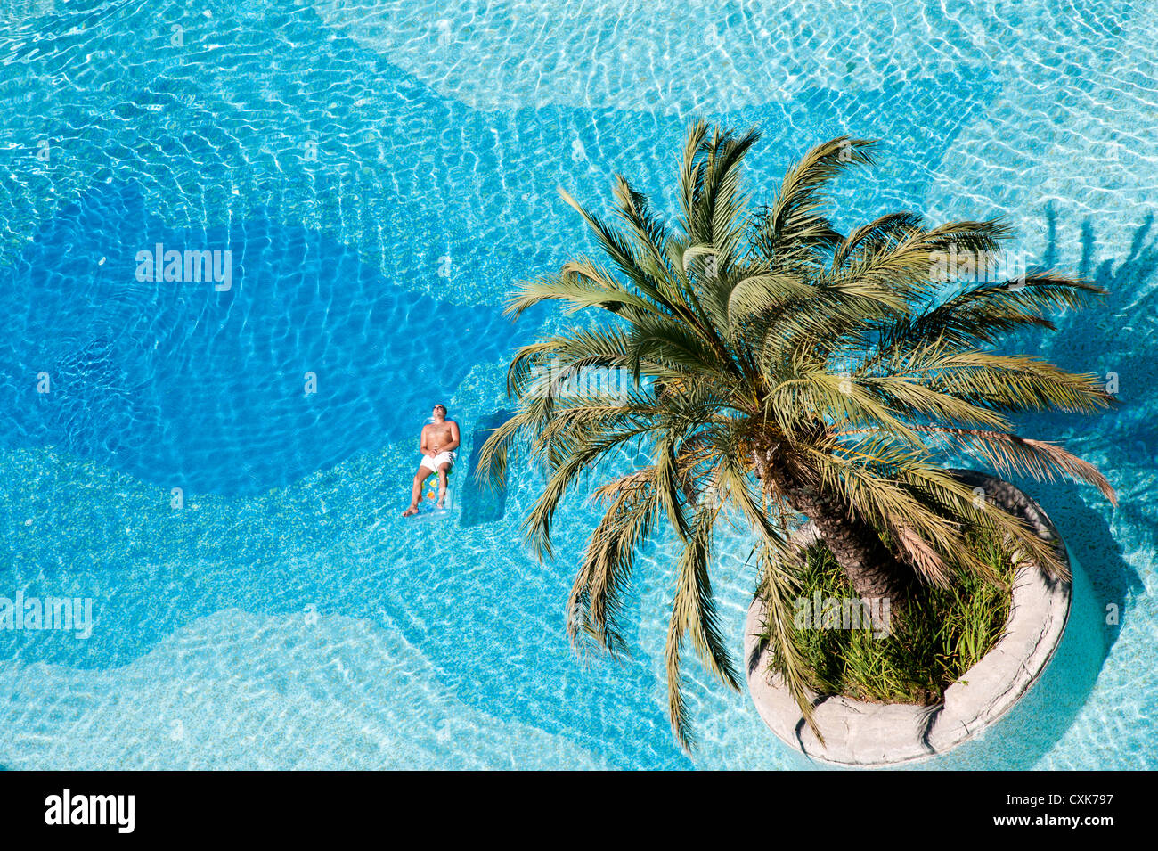 Palm Tree Swimming Pool High Resolution Stock Photography and Images ...