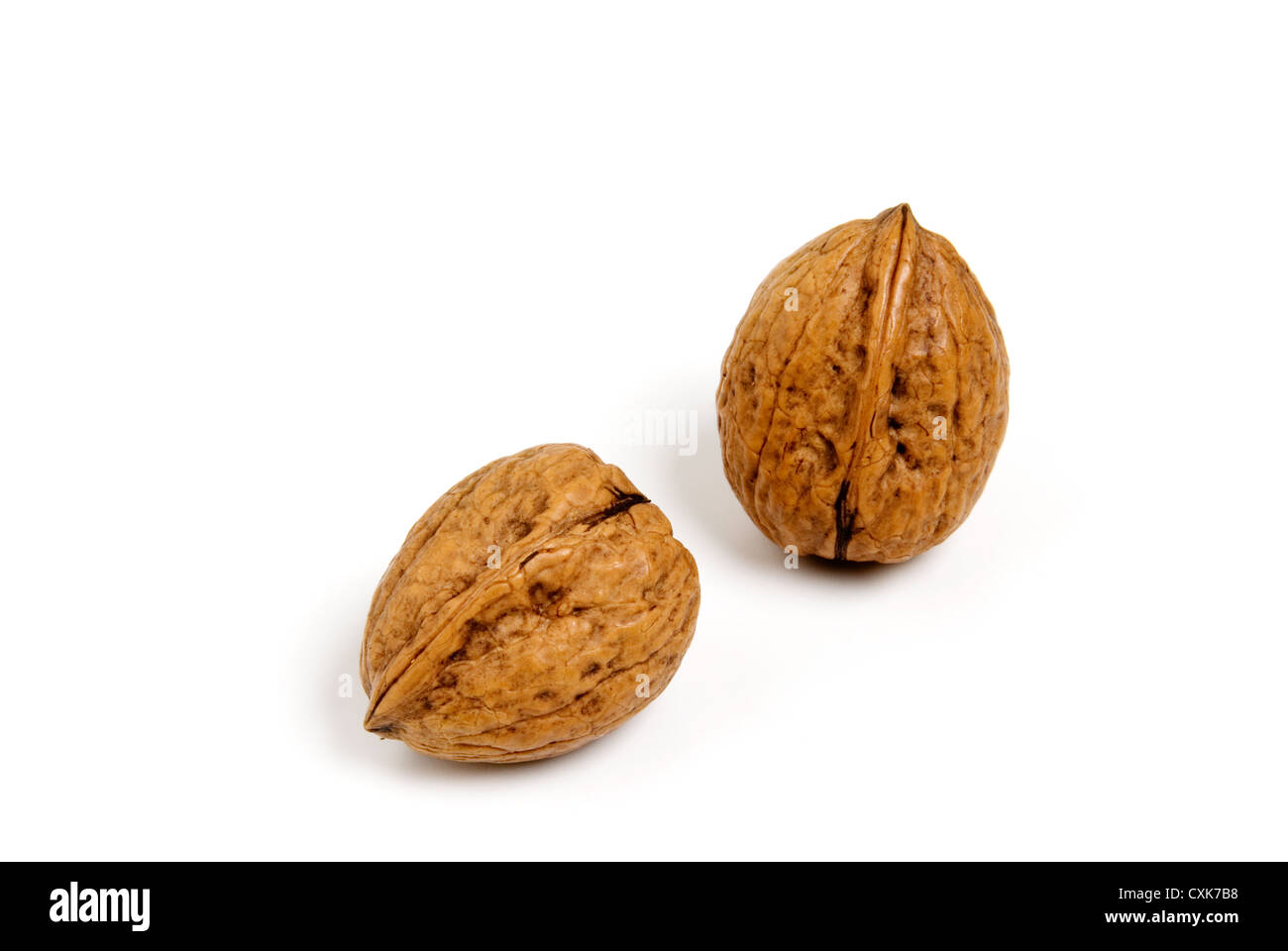 Two walnuts in shells on a white background Stock Photo - Alamy